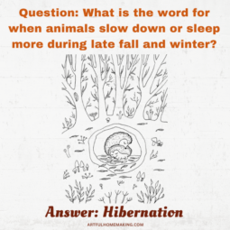 45 Fall Trivia Questions and Answers (For Kids and Adults) - Artful ...