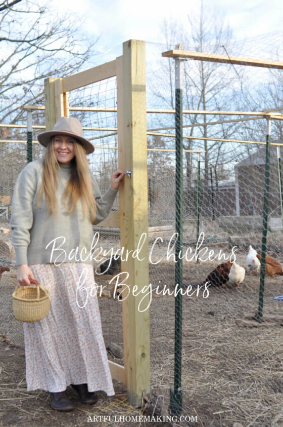 How To Get Started With Backyard Chickens Artful Homemaking