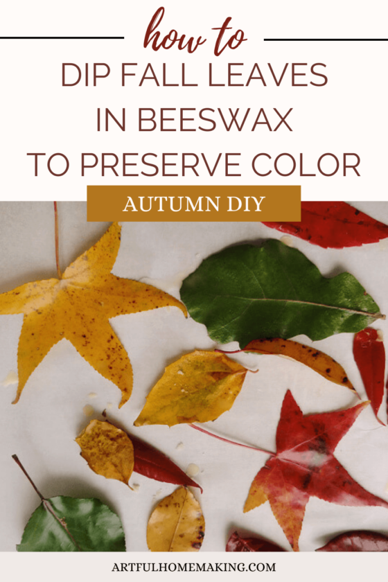Dip Leaves in Beeswax to Preserve Fall Leaves - Artful Homemaking