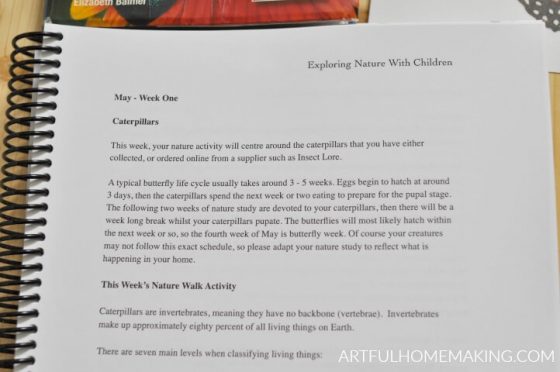 Exploring Nature with Children - Artful Homemaking