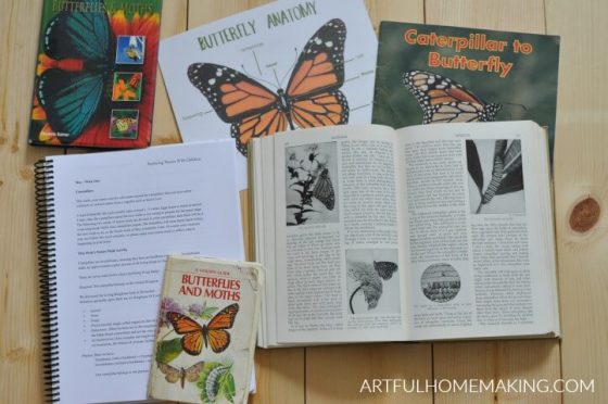 Exploring Nature with Children - Artful Homemaking