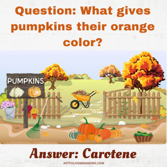 45 Fall Trivia Questions and Answers (For Kids and Adults) - Artful ...